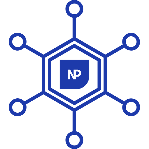 Innovative Payments | Empowering Financial Institutions | Neural Payments